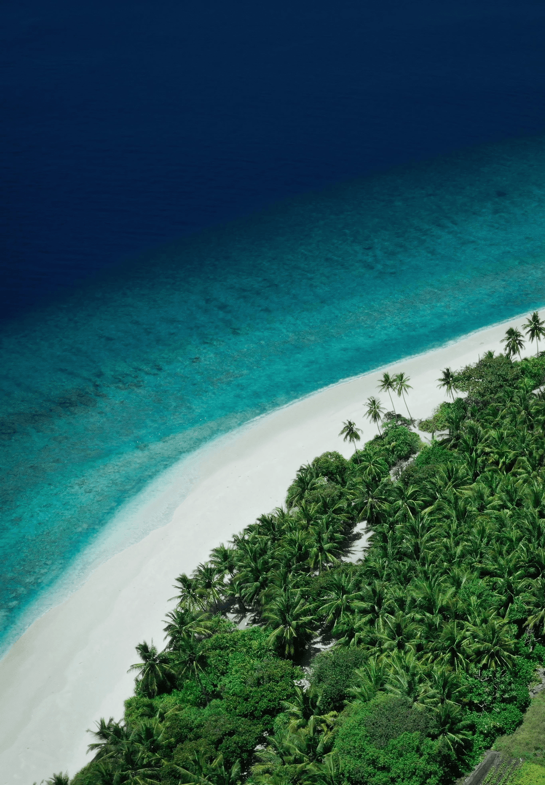 Partners - Blue Nature Alliance