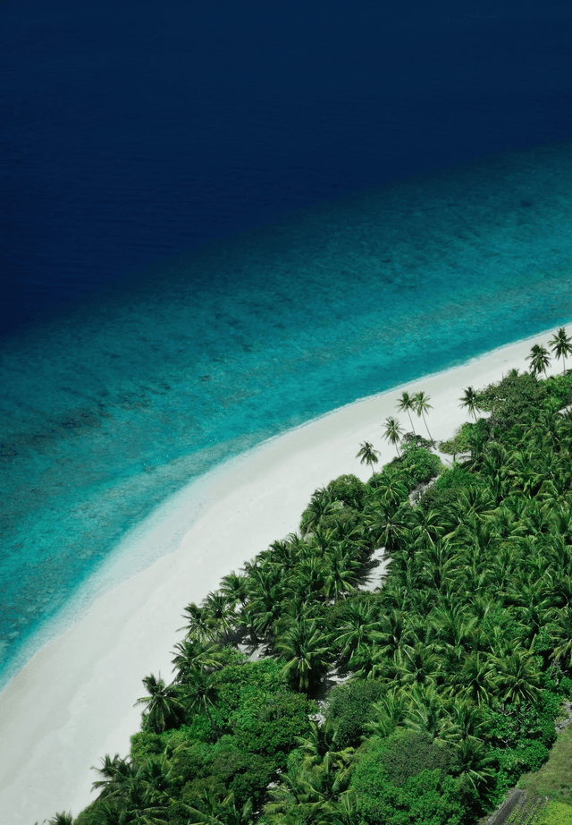 Partners - Blue Nature Alliance