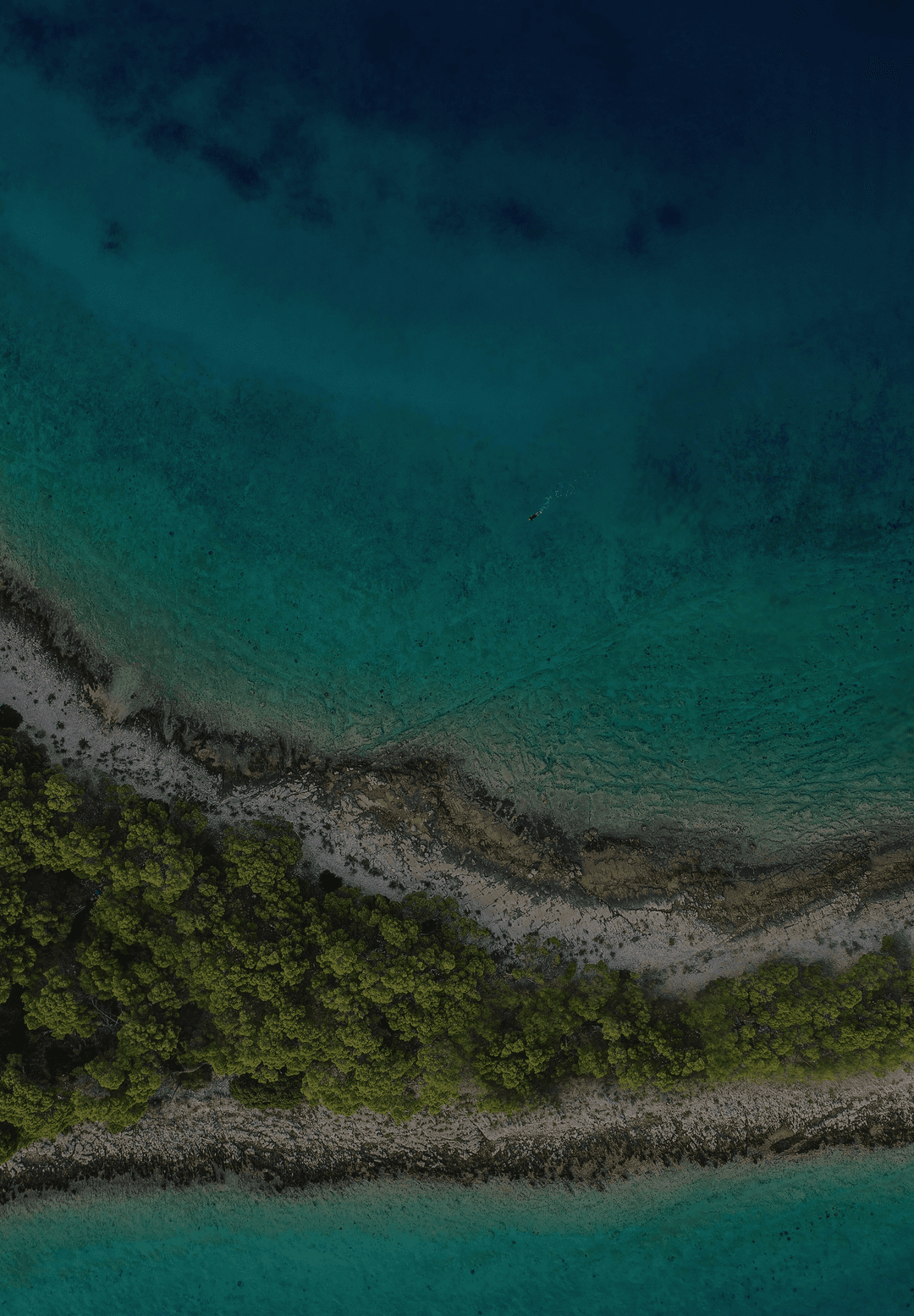 Homepage - Blue Nature Alliance