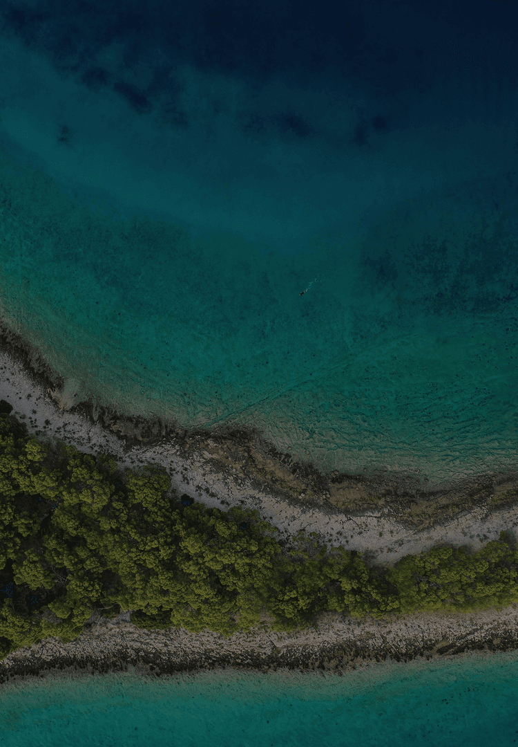 Homepage - Blue Nature Alliance